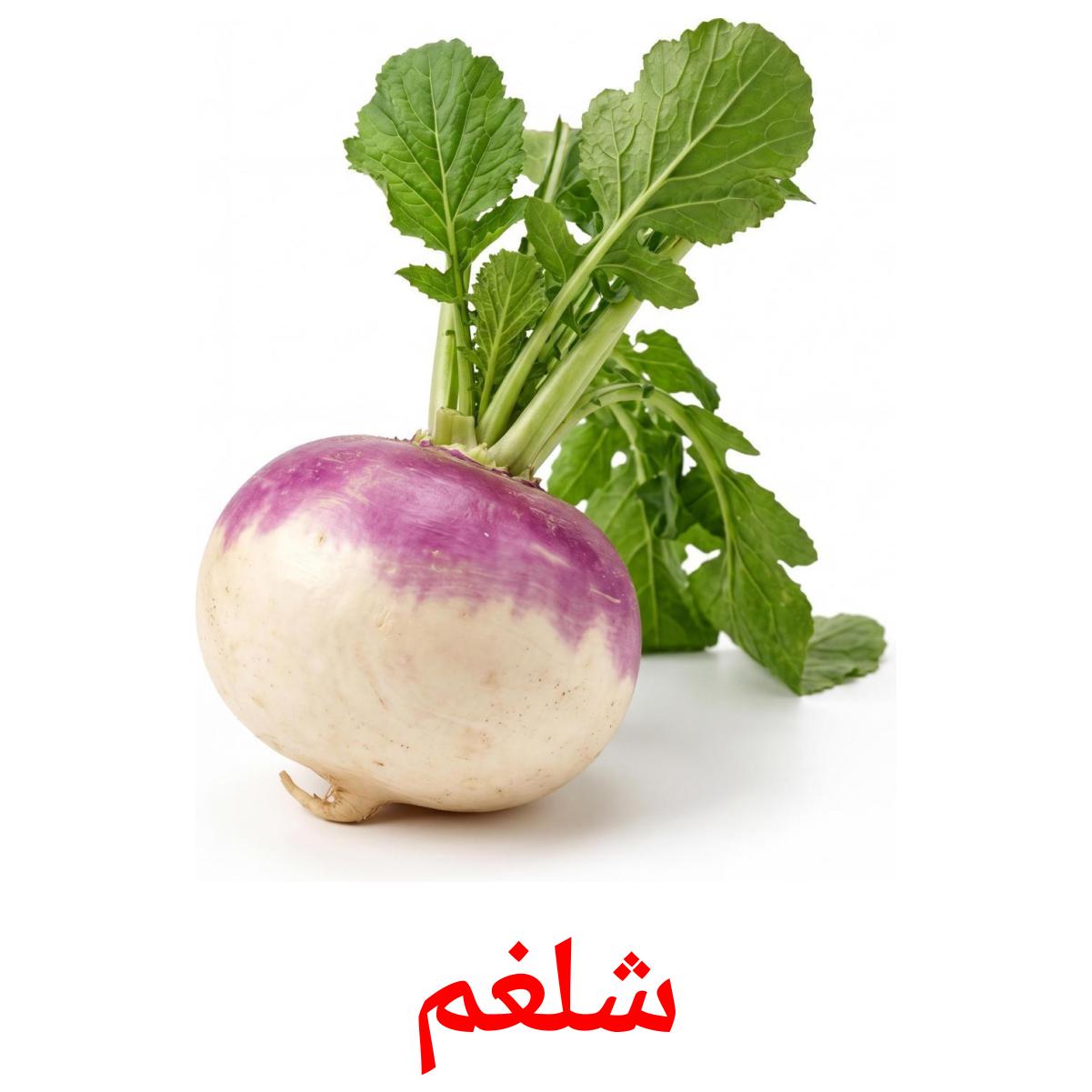 30 Printable Vegetables Flashcards in Persian (Free PDF)