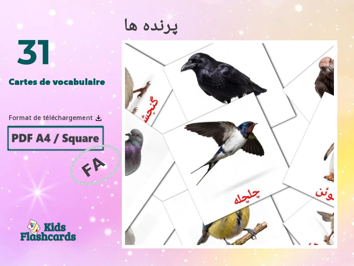 31 Cartes de vocabulaire Oiseaux GRATUITES à imprimer | PDF ...