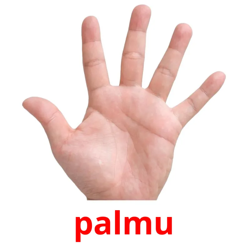 26 FREE Body Parts Flashcards | PDF | Finnish Words