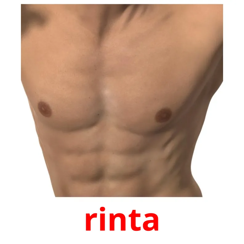 26 FREE Body Parts Flashcards | PDF | Finnish Words