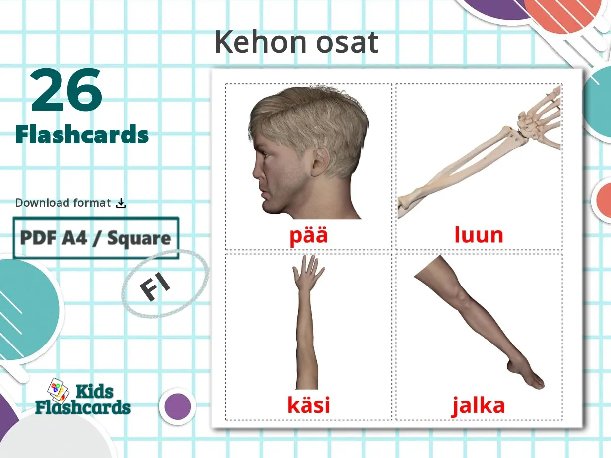 26 Printable Body Parts Flashcards in Finnish (Free PDF)