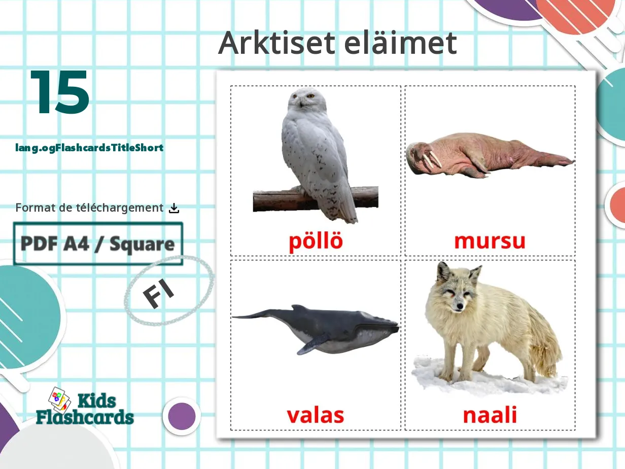 15 Cartes Nomenclature Montessori Les Animaux de l'Arctique GRATUIT à ...