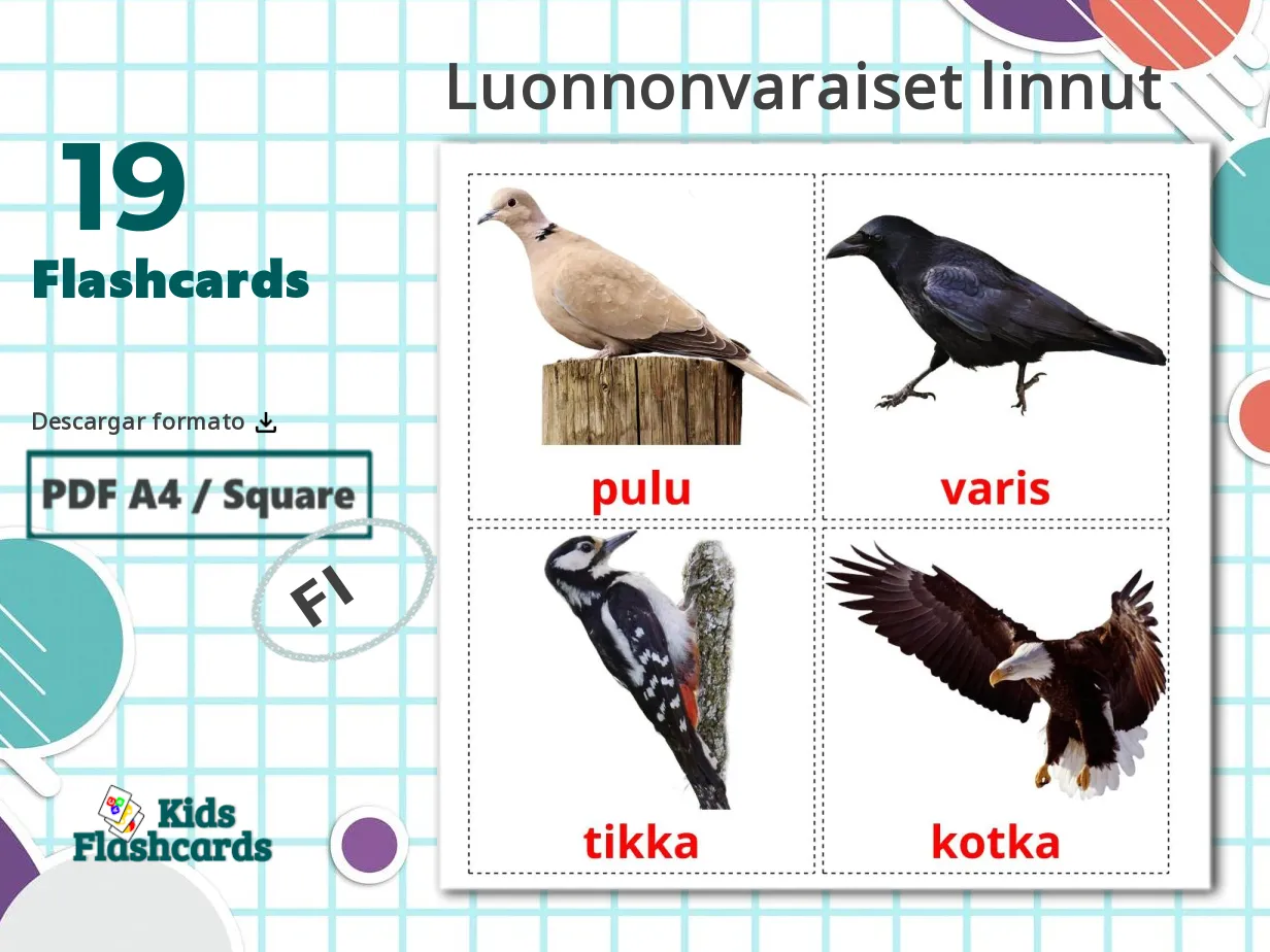 19 Tarjetas de Aprendizaje de Pájaros salvajes GRATIS en PDF | Imágenes ...