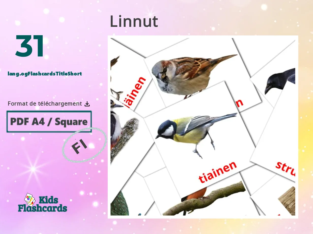 31 Cartes de vocabulaire Oiseaux GRATUITES à imprimer | PDF ...