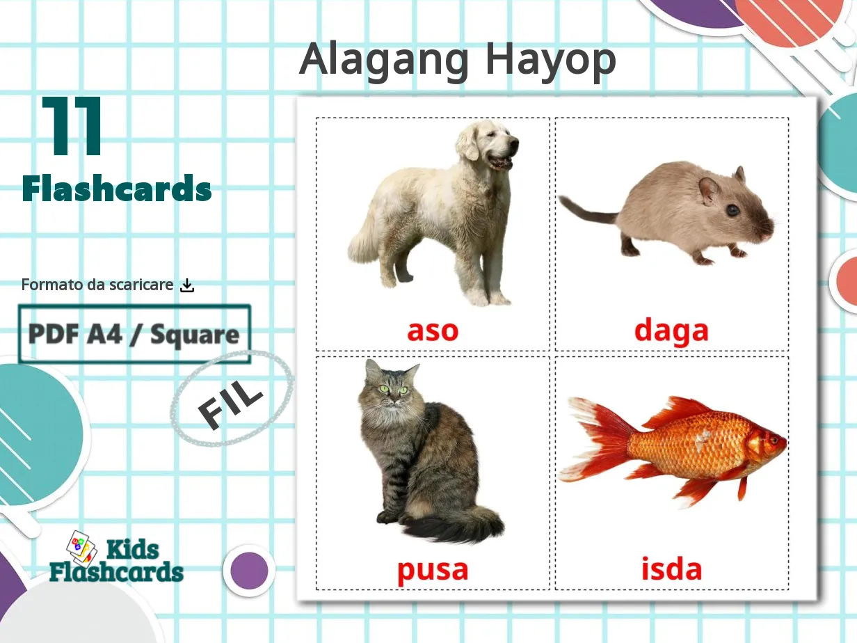 11 Flashcard GRATUITE sui Animali Domestici in 4 Formati PDF | Immagini ...