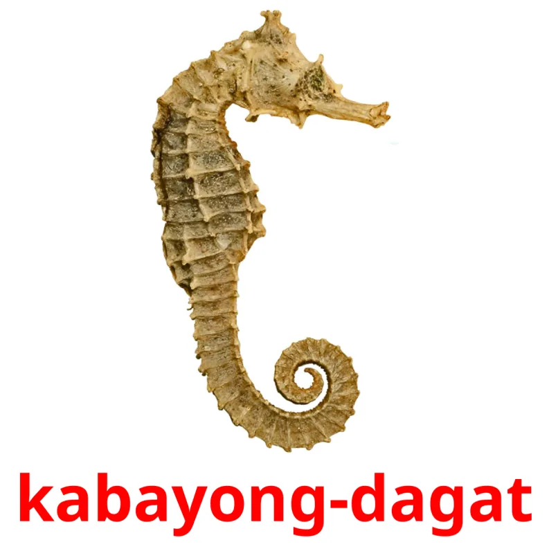 29 GRATIS Zeedieren Flashcards in 4 PDF formaten | Filipino Afbeeldingen
