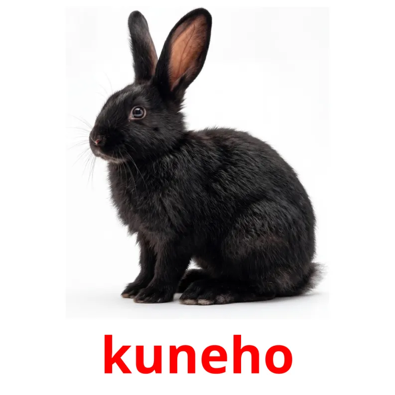 15 Cartões linguagem de Animais da Fazenda GRÁTIS em 4 formatos PDF ...