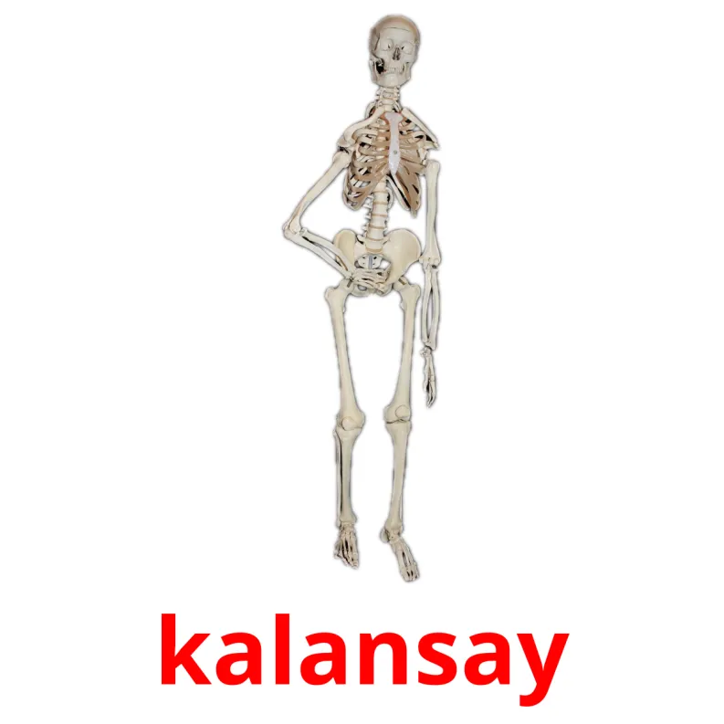 26 GRATIS Lichaamsdelen Flashcards in 4 PDF formaten | Filipino ...