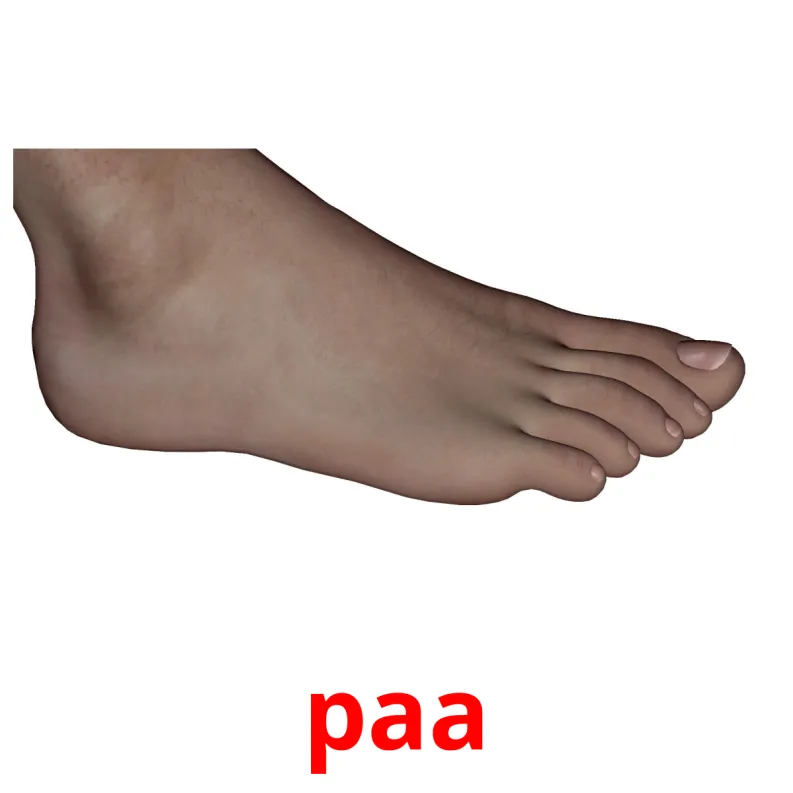 26 FREE Body Parts Flashcards | PDF | Filipino Words