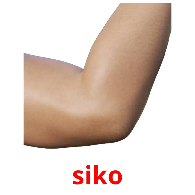 26 GRATIS Lichaamsdelen Flashcards in 4 PDF formaten | Filipino ...