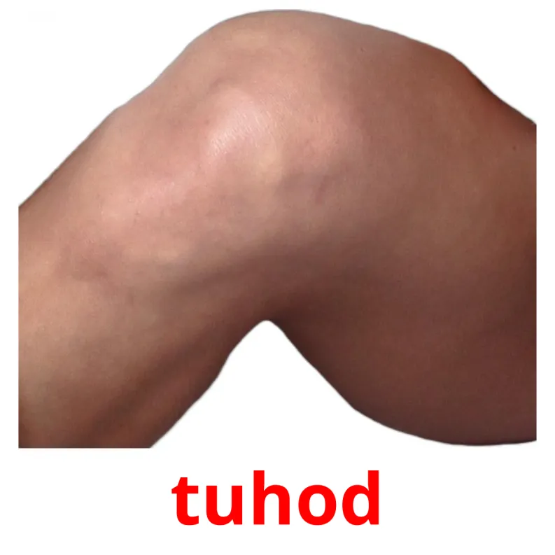 26 FREE Body Parts Flashcards | PDF | Filipino Words