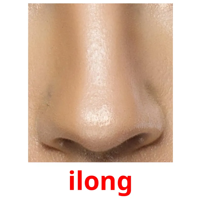 20 Tarjetas de Aprendizaje de Partes de la Cara GRATIS en PDF ...