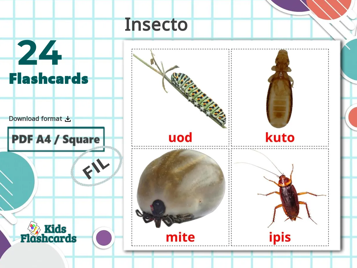 24 Printable Insects Flashcards in Filipino (Free PDF)