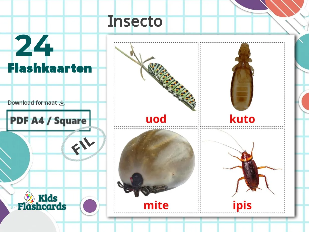 24 GRATIS Insecten Leerkaarten voor Kinderen in 4 PDF formaten ...