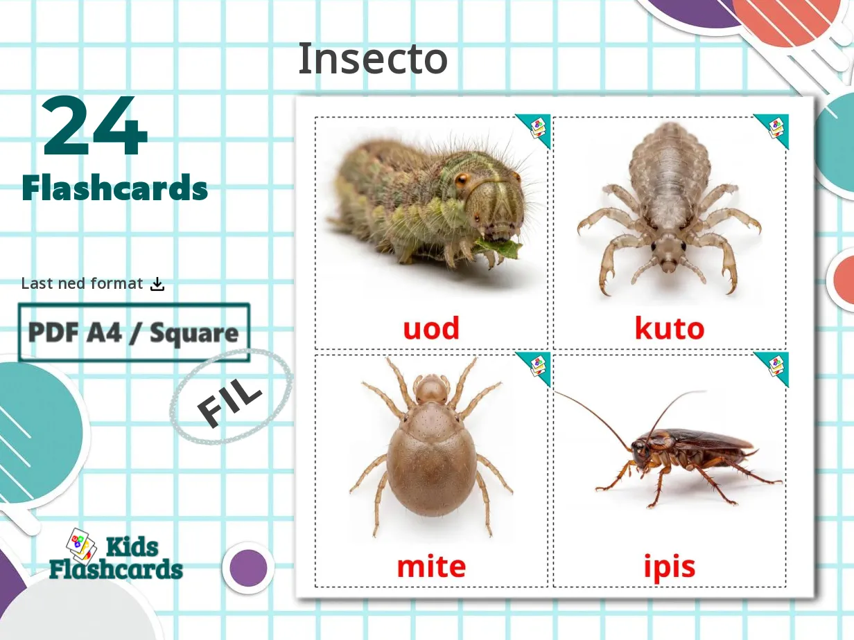 24 GRATIS insekter bildekort i 4 PDF-formater | bilder på Filipino