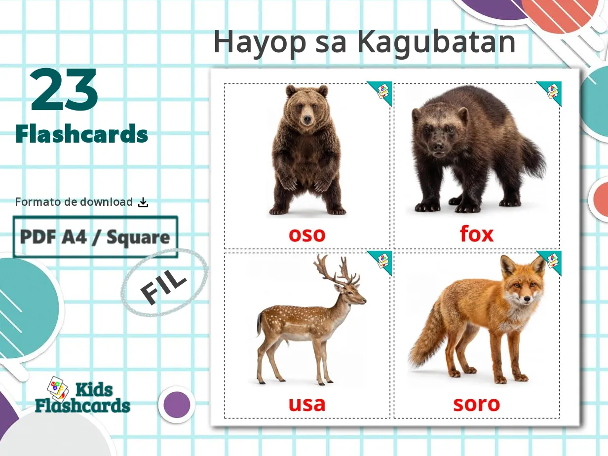 23 Cartões linguagem de Animais da Floresta GRÁTIS em 4 formatos PDF ...