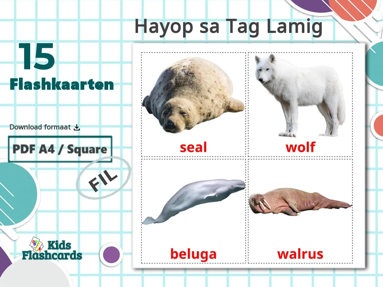 15 GRATIS Arctische dieren Flashcards in 4 PDF formaten | Filipino ...
