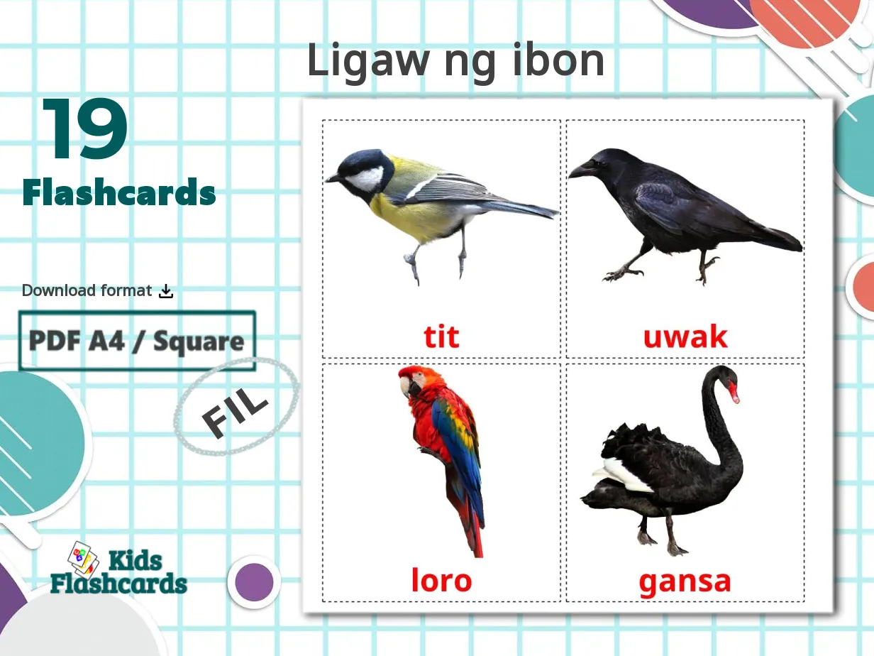 19 Printable Wild birds Flashcards in Filipino (Free PDF)