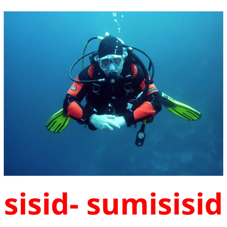 22 Tarjetas de Aprendizaje de Verbos de movimiento GRATIS en PDF ...