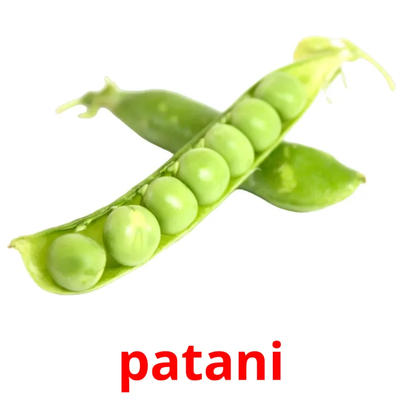 29 FREE Vegetables Flashcards | PDF | Filipino Words