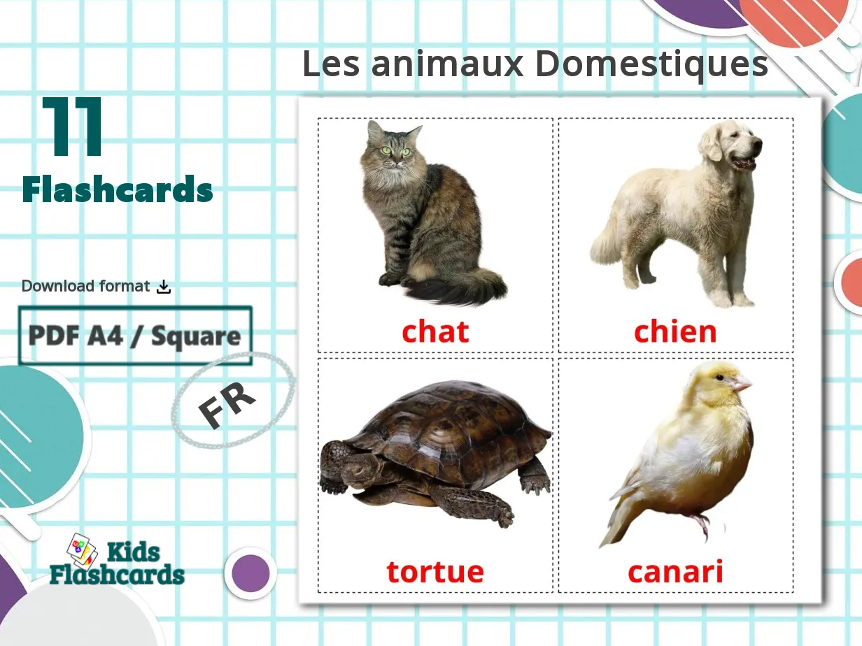 11 Printable Domestic animals Flashcards in French (Free PDF)