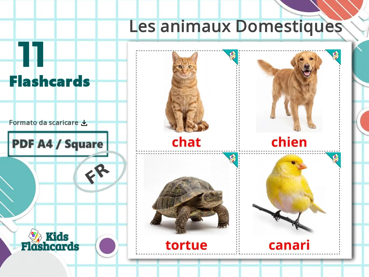 11 Flashcard GRATUITE sui Animali Domestici in 4 Formati PDF | Immagini ...