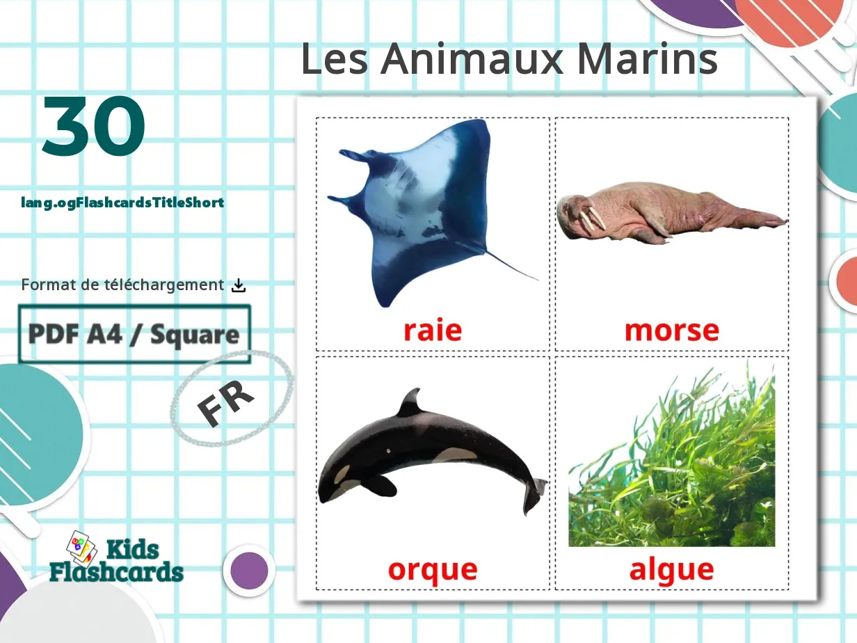 30 Cartes de Nomenclature Montessori GRATUITES Les Animaux Marins à ...