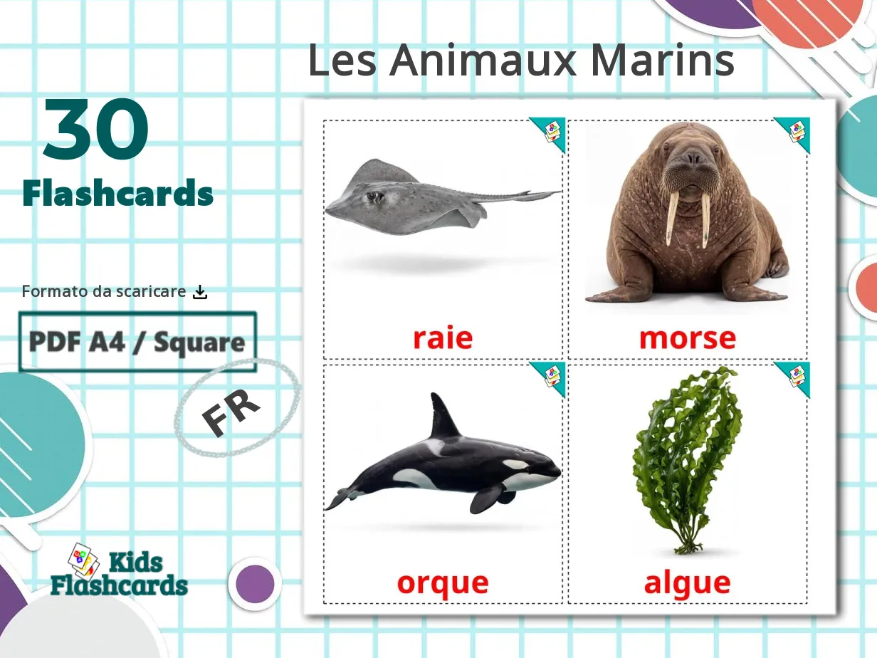 30 Flashcard GRATUITE sui Animali marini in 4 Formati PDF | Immagini in ...