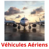 14 Printable Aircraft Flashcards in French (Free PDF)