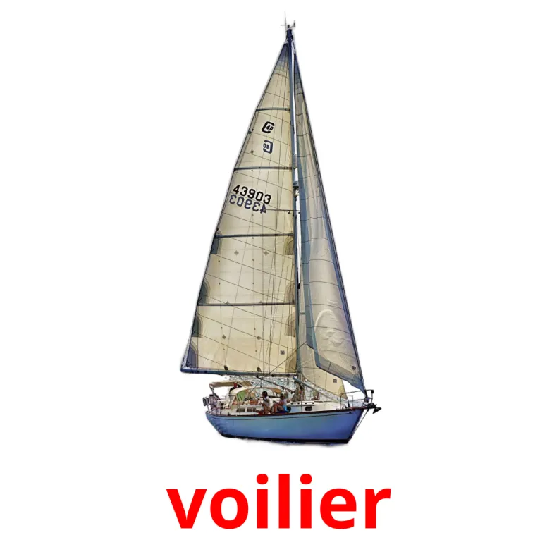 18 FREE Water transport Flashcards | PDF | French Words