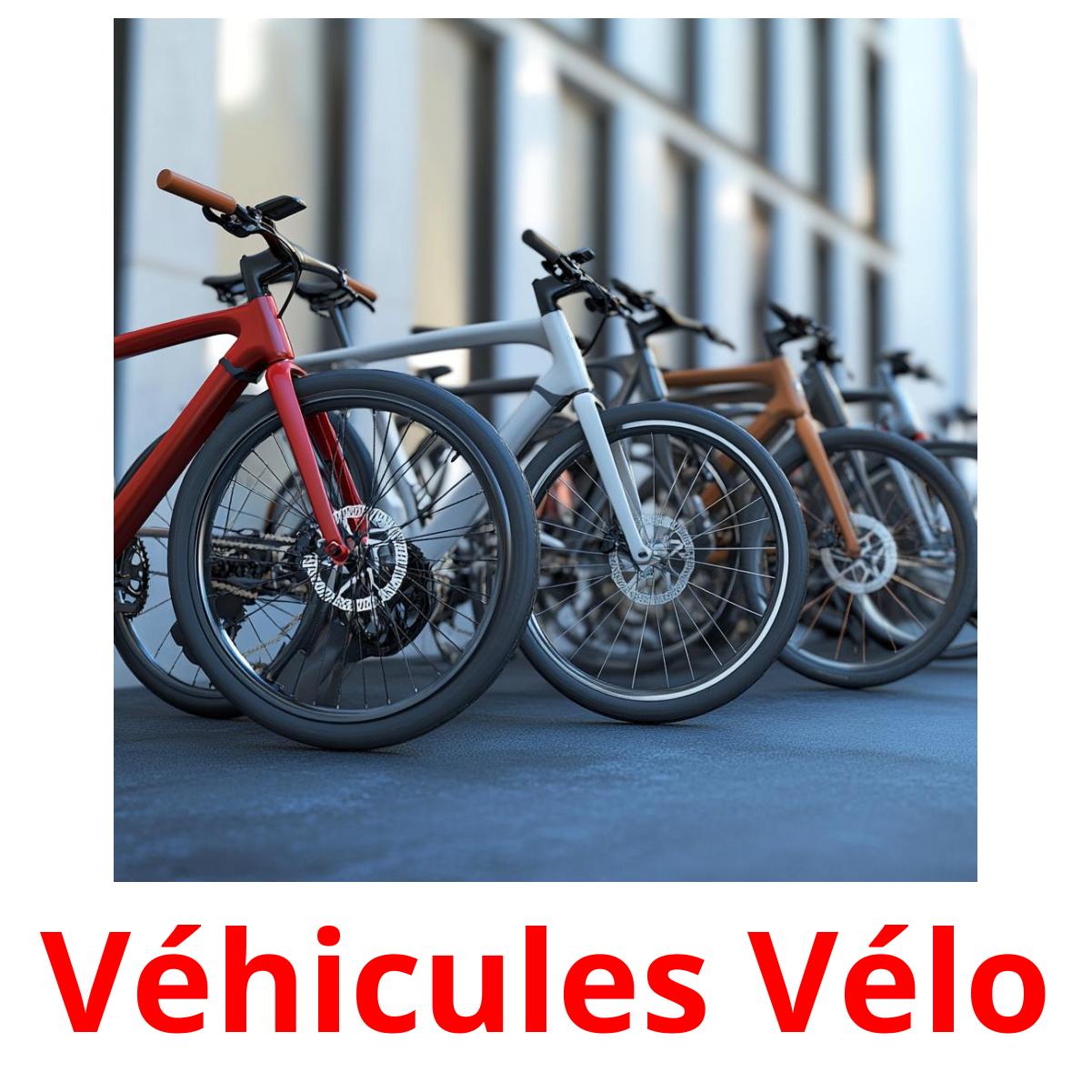 17 Printable Bicycle transport Flashcards in French (Free PDF)