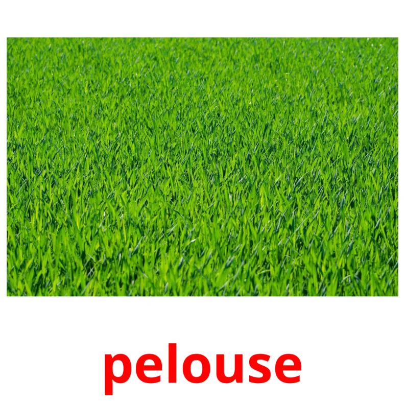18 FREE Garden Flashcards | PDF | French Words