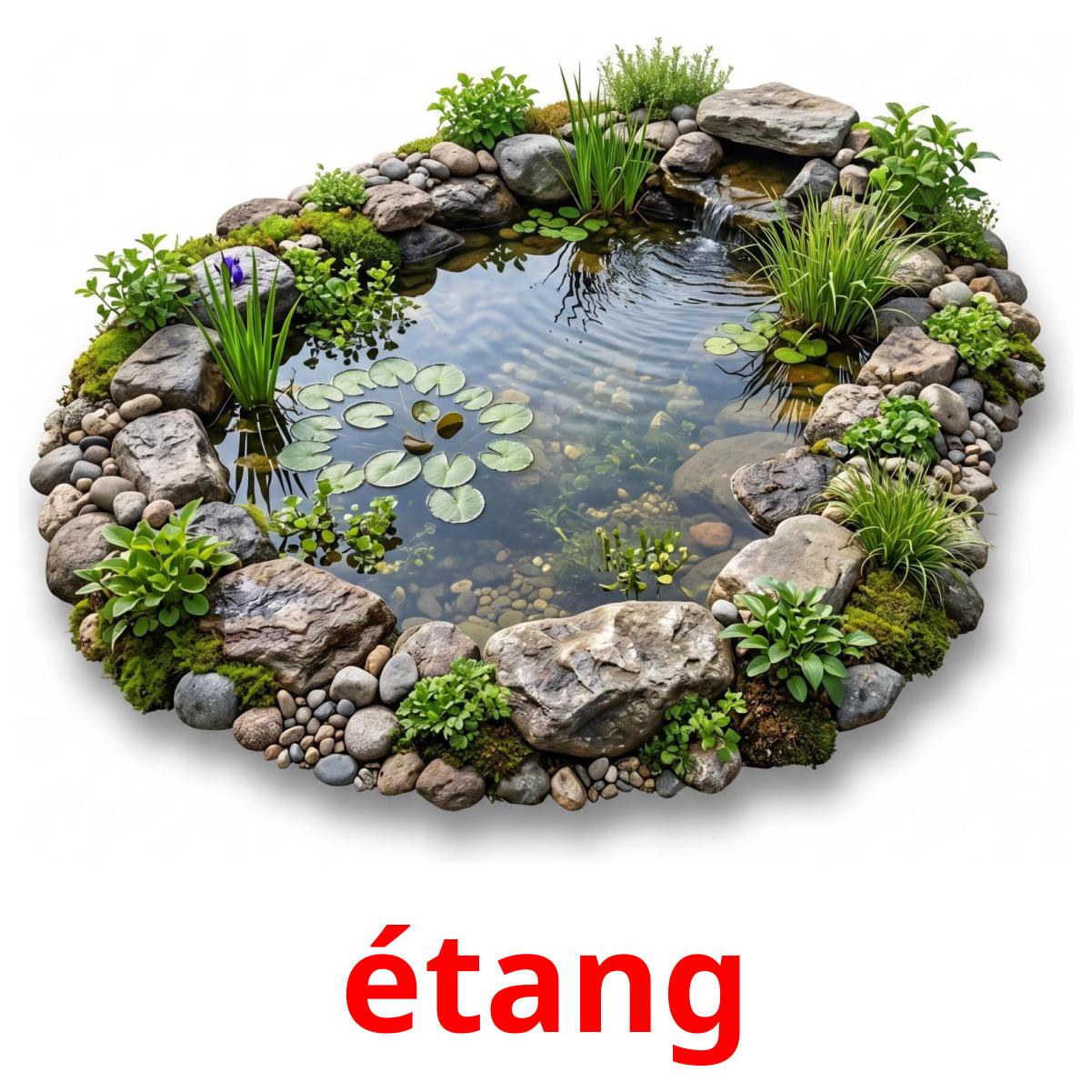 19 Printable Garden Flashcards in French (Free PDF)