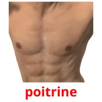 26 Free Body Parts Flashcards in french (PDF files)