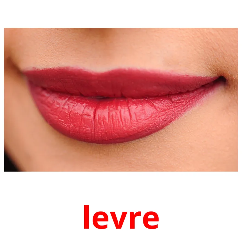 20 FREE Face Flashcards | PDF | French Words