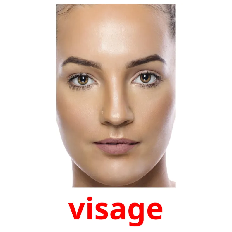 20 Cartes Nomenclature Montessori Parties du Visage GRATUIT à Imprimer ...