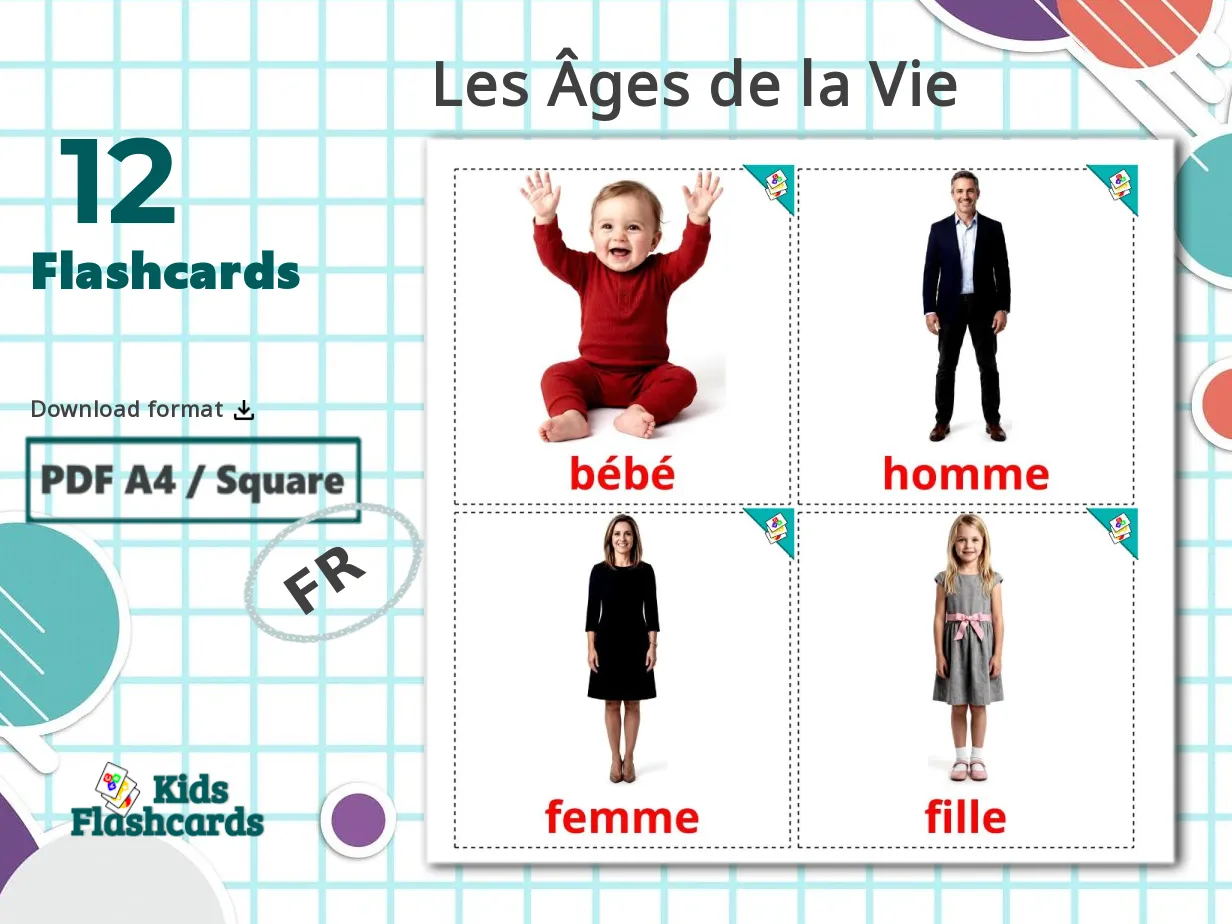 12 Printable Stages Flashcards in French (Free PDF)