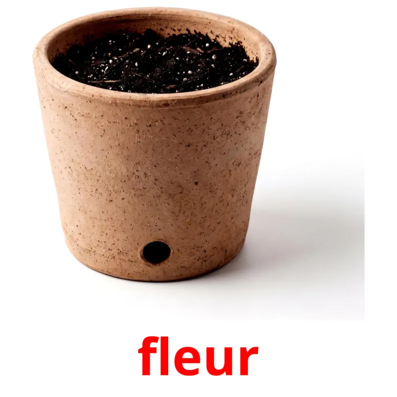 15 FREE Bedroom accessories Flashcards | PDF | French Words