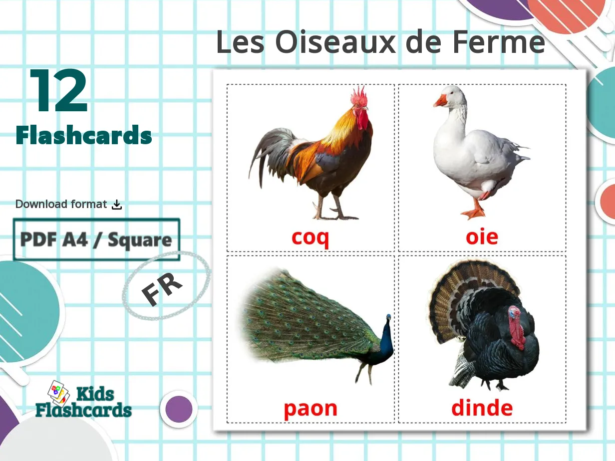 12 Printable Farm birds Flashcards in French (Free PDF)