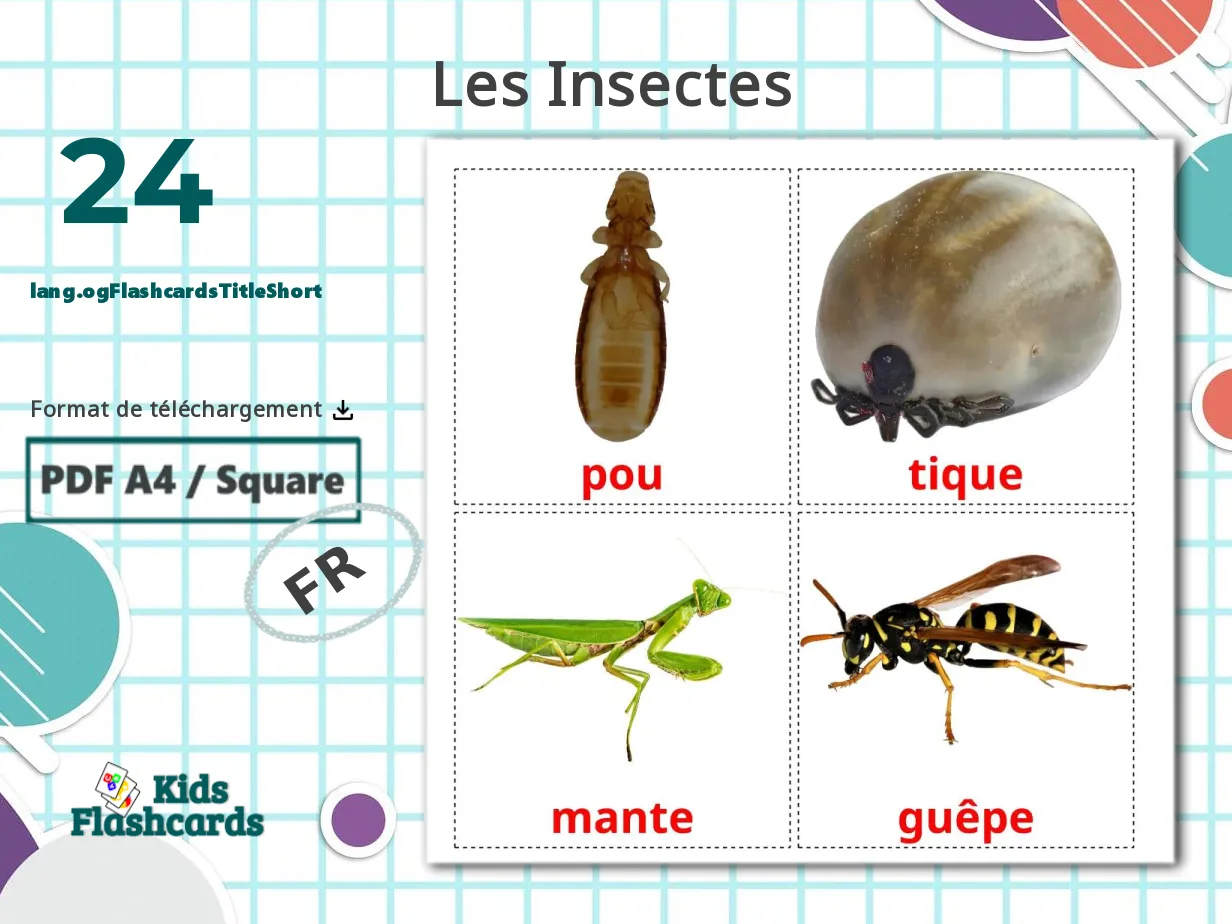 24 Cartes de Vocabulaire pour Enfants GRATUITES Les Insectes à Imprimer ...