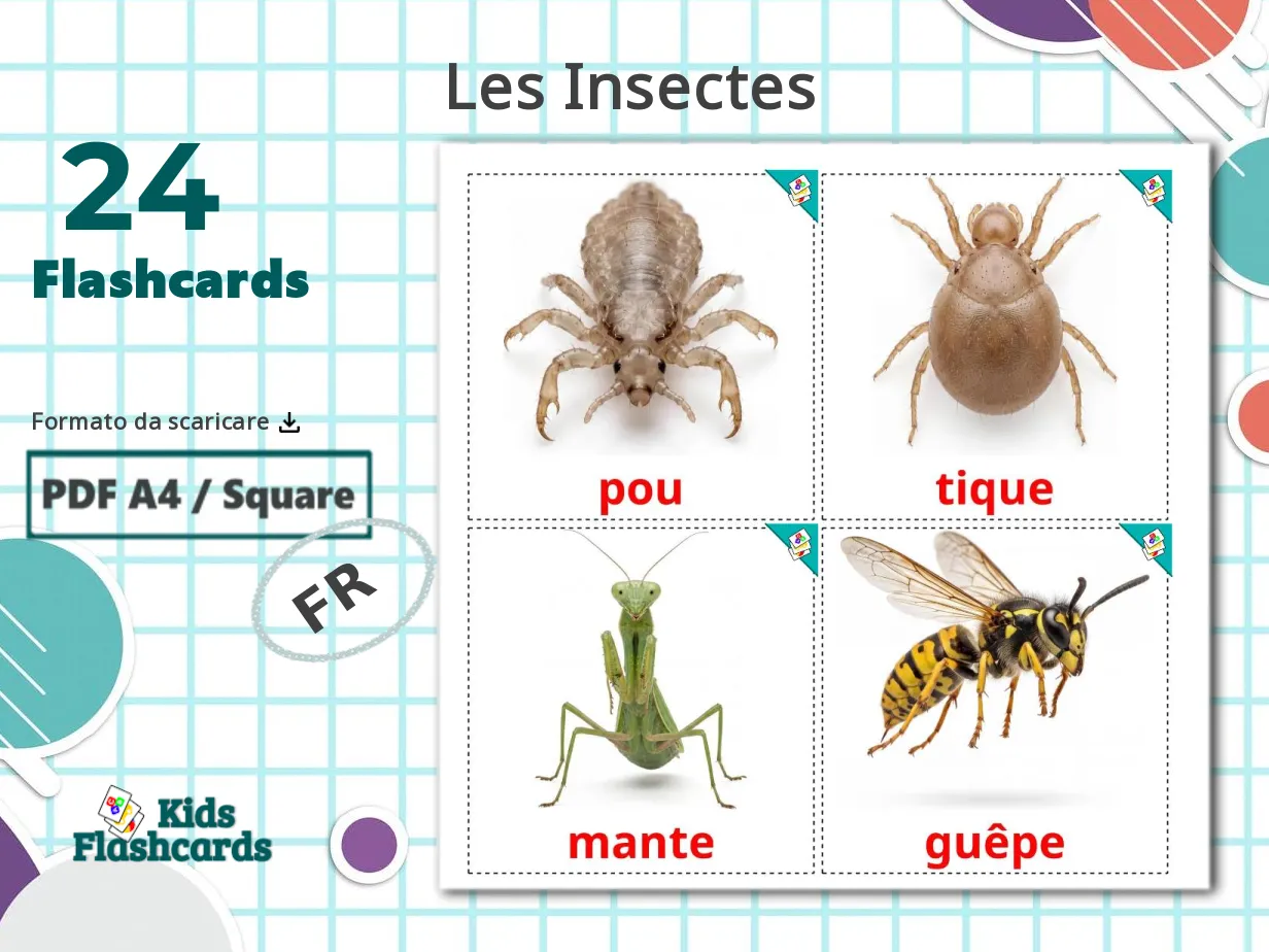 24 Flashcard GRATUITE sui Insetti in 4 Formati PDF | Immagini in Francese