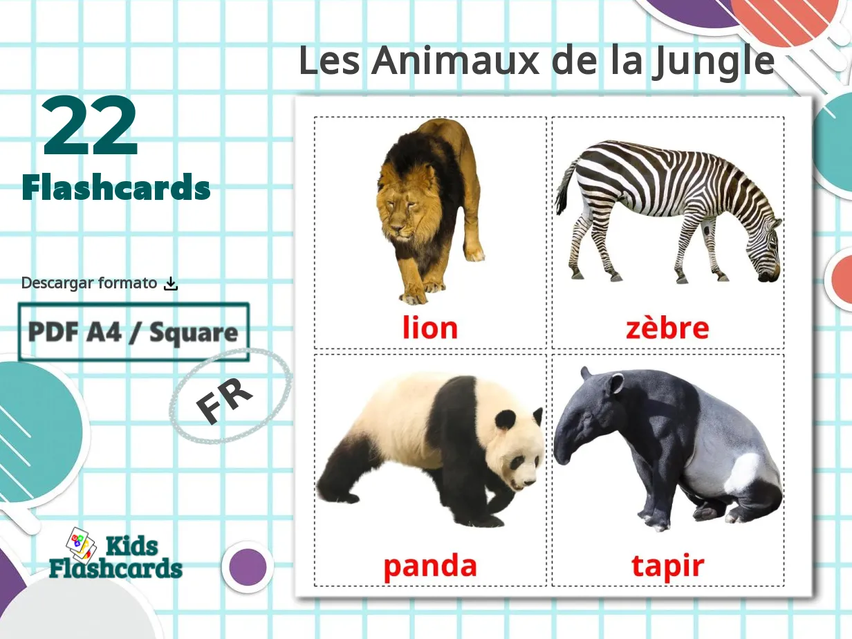 22 Tarjetas de Aprendizaje de Animales de la Selva GRATIS en PDF ...
