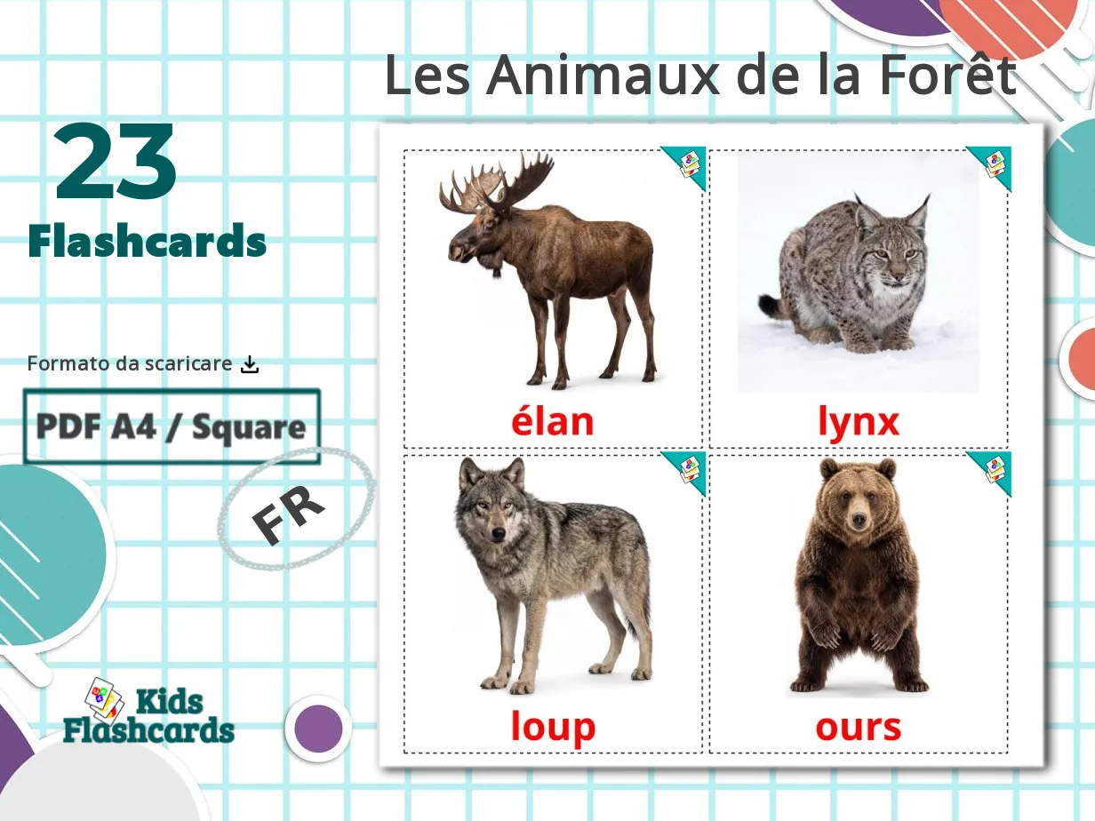 23 Flashcard GRATUITE sui Animali della foresta in 4 Formati PDF ...