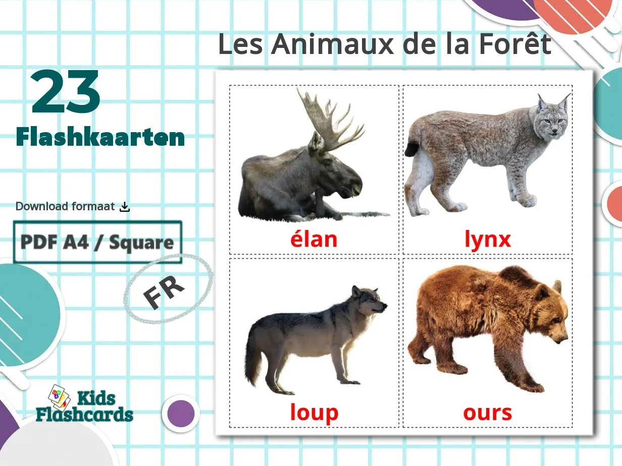 23 GRATIS Bosdieren Flashcards in 4 PDF formaten | Frans Afbeeldingen