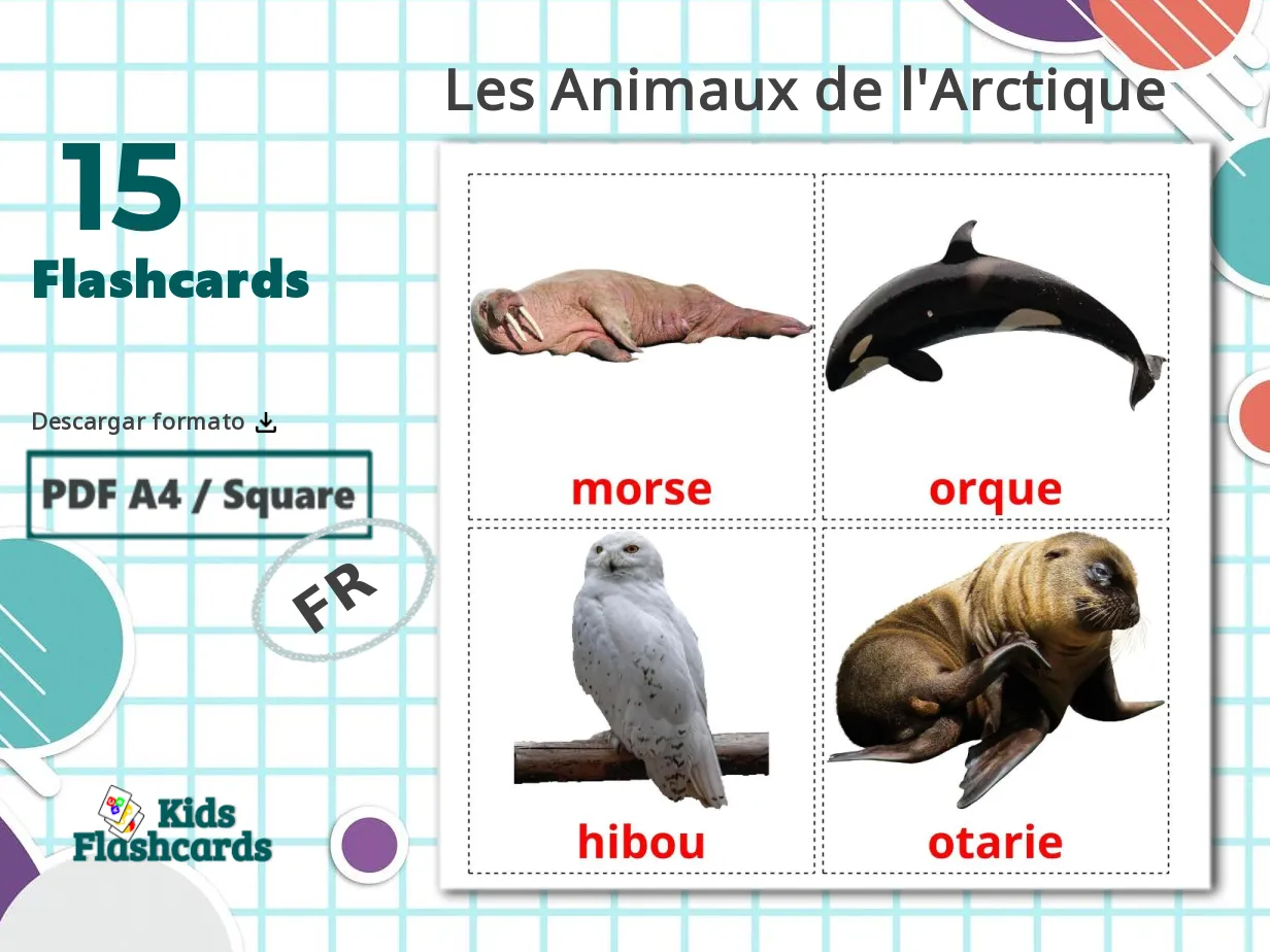 15 Tarjetas de Aprendizaje de Animales del Ártico GRATIS en PDF ...