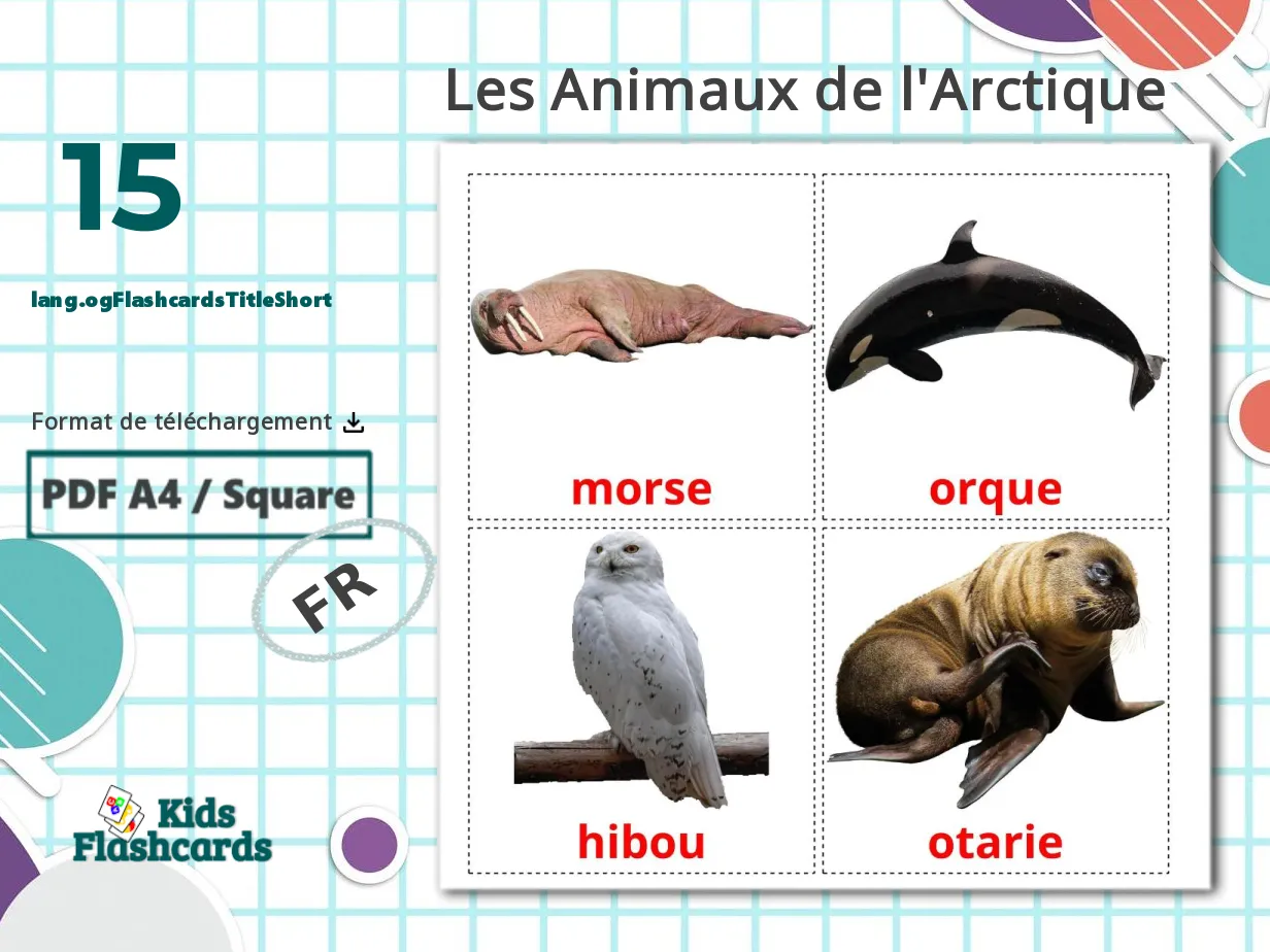 15 Cartes de Vocabulaire pour Enfants GRATUITES Les Animaux de l ...