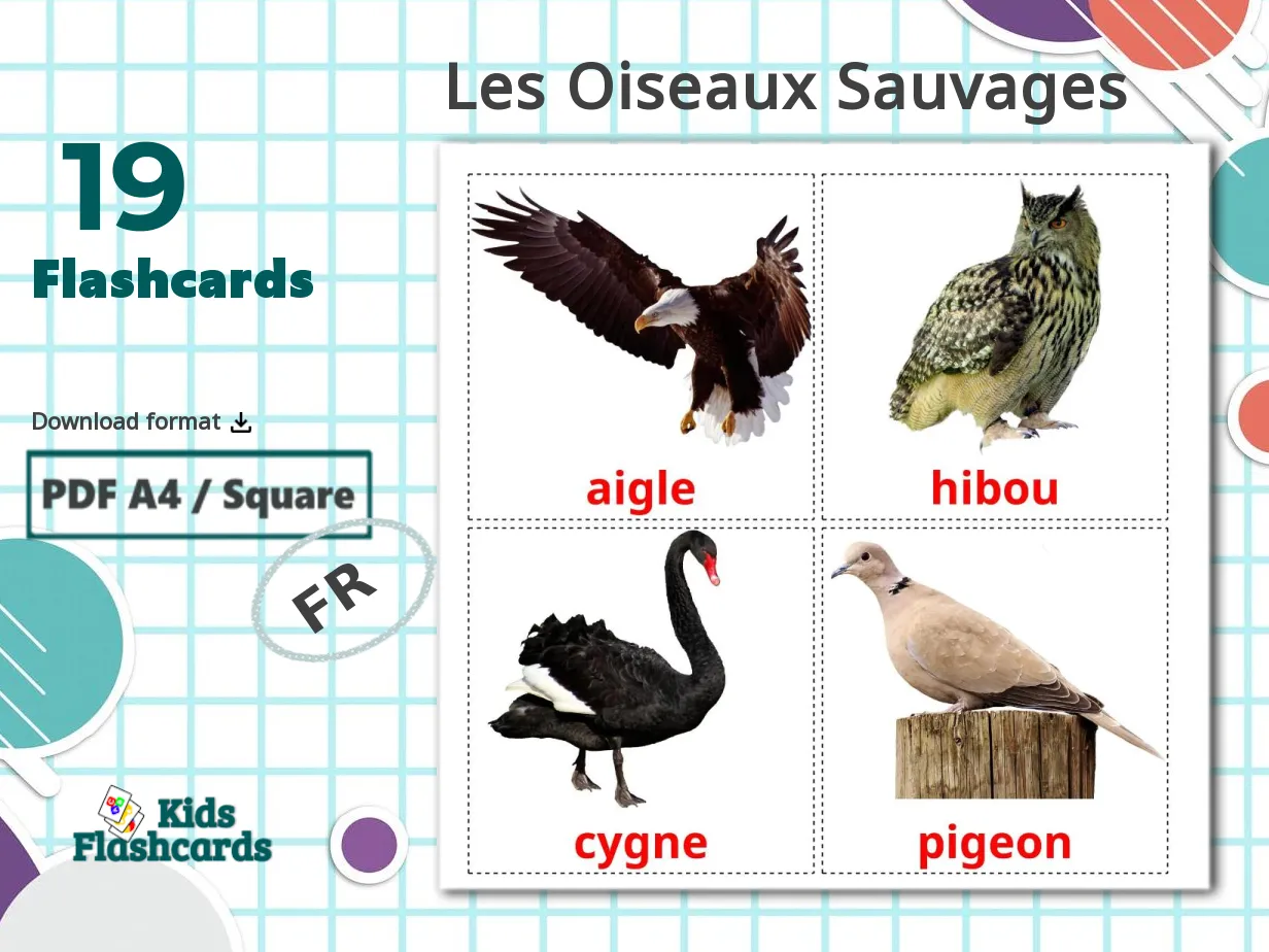 19 Printable Wild birds Flashcards in French (Free PDF)