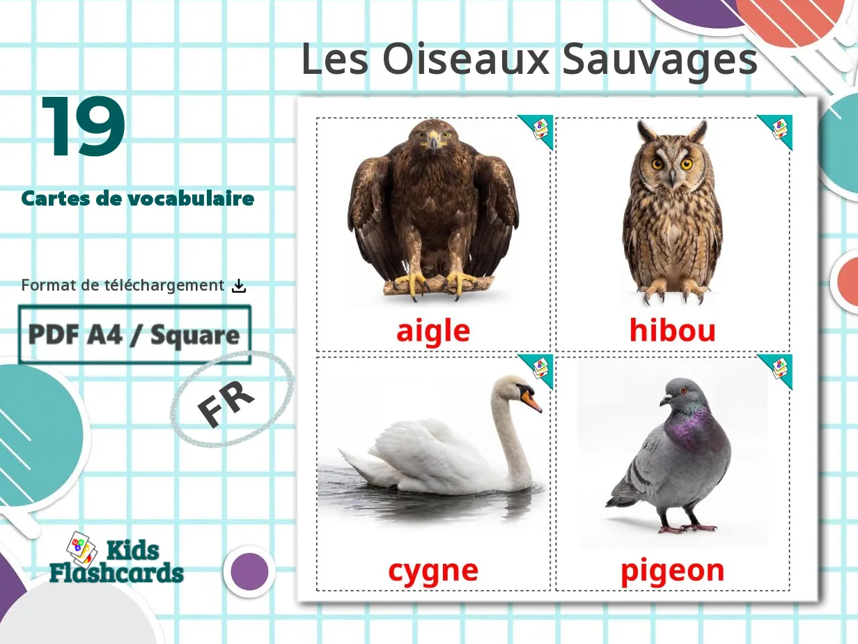 19 Cartes de Nomenclature Montessori GRATUITES Les Oiseaux Sauvages à ...