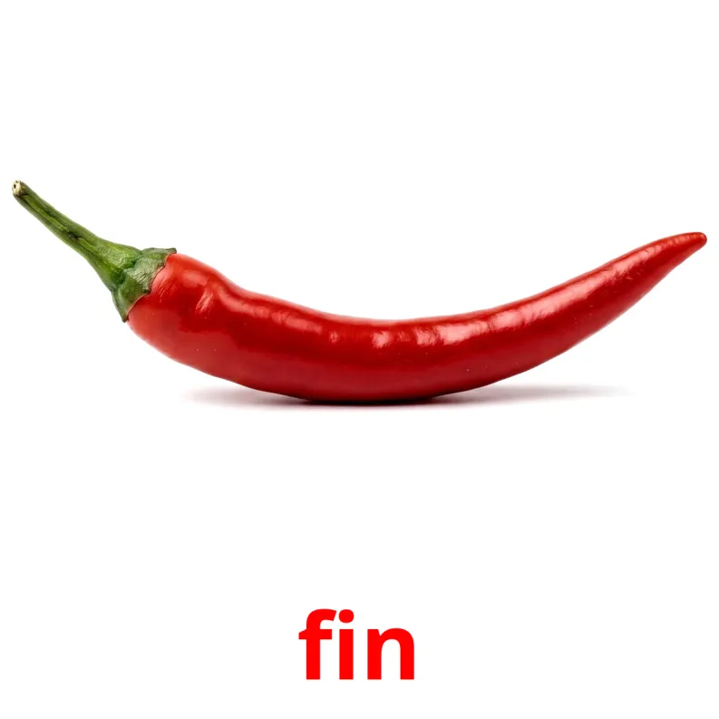 74 FREE Opposites Flashcards | PDF | French Words
