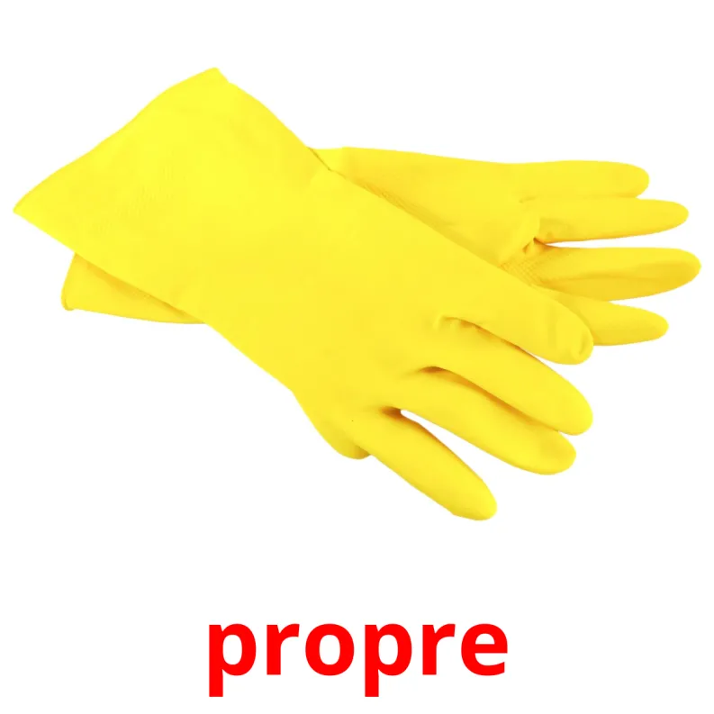 74 FREE Opposites Flashcards | PDF | French Words